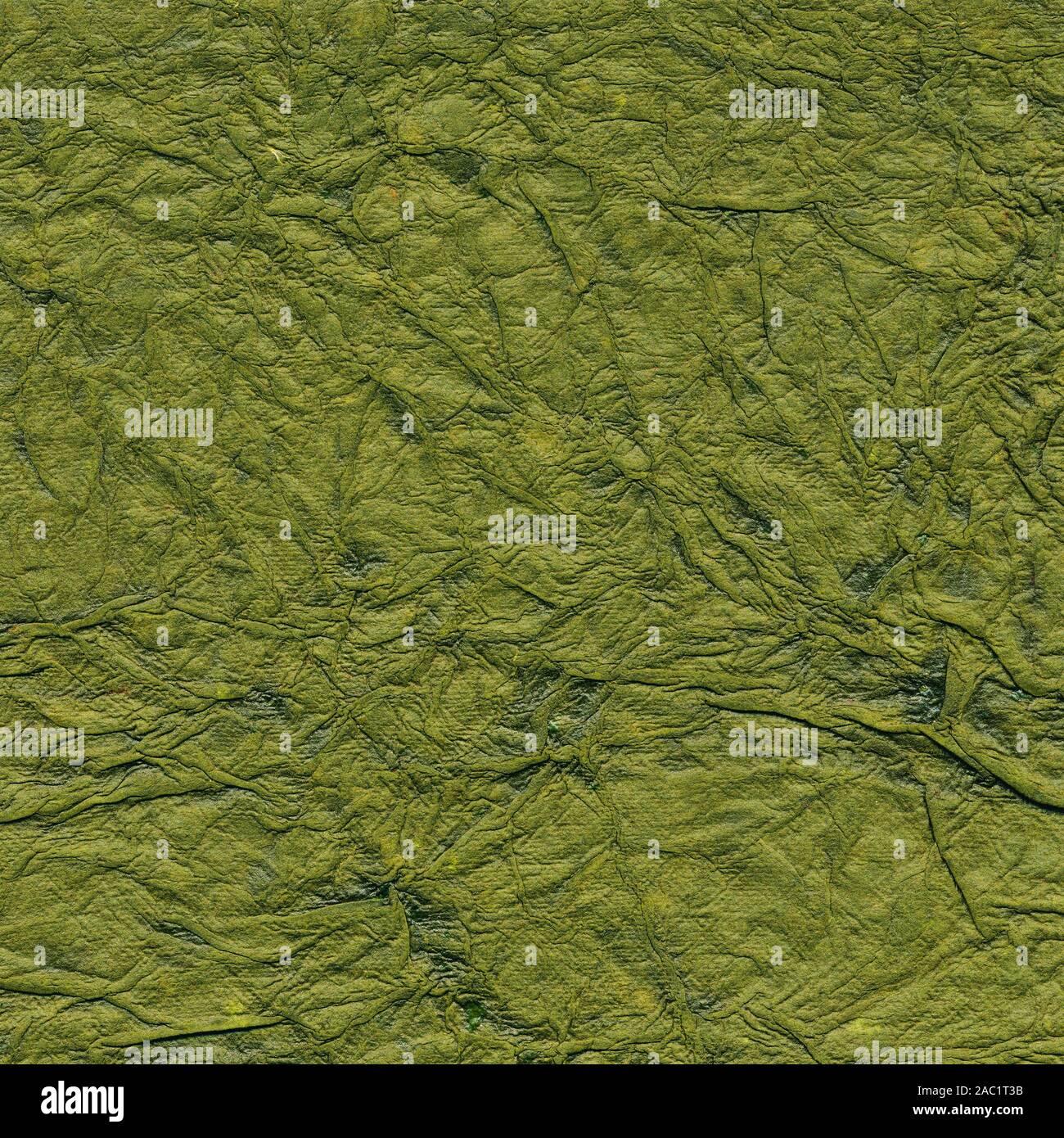 Green handmade paper with pattern Stock Photo - Alamy