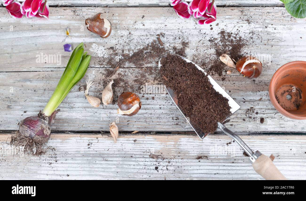 top view on a shovel full of soil for potted on a gardening table Stock ...