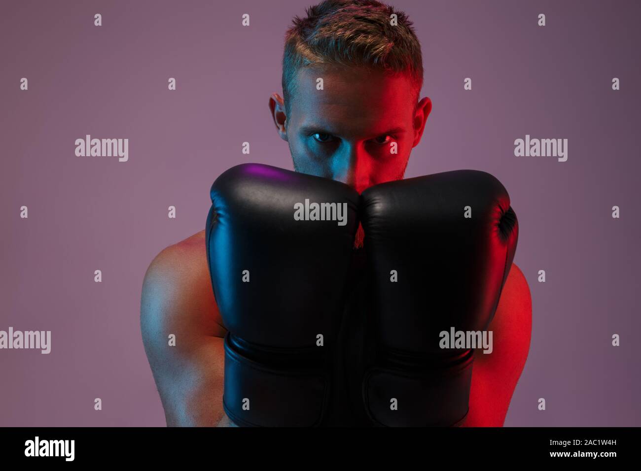 Boxer posing hi-res stock photography and images - Alamy