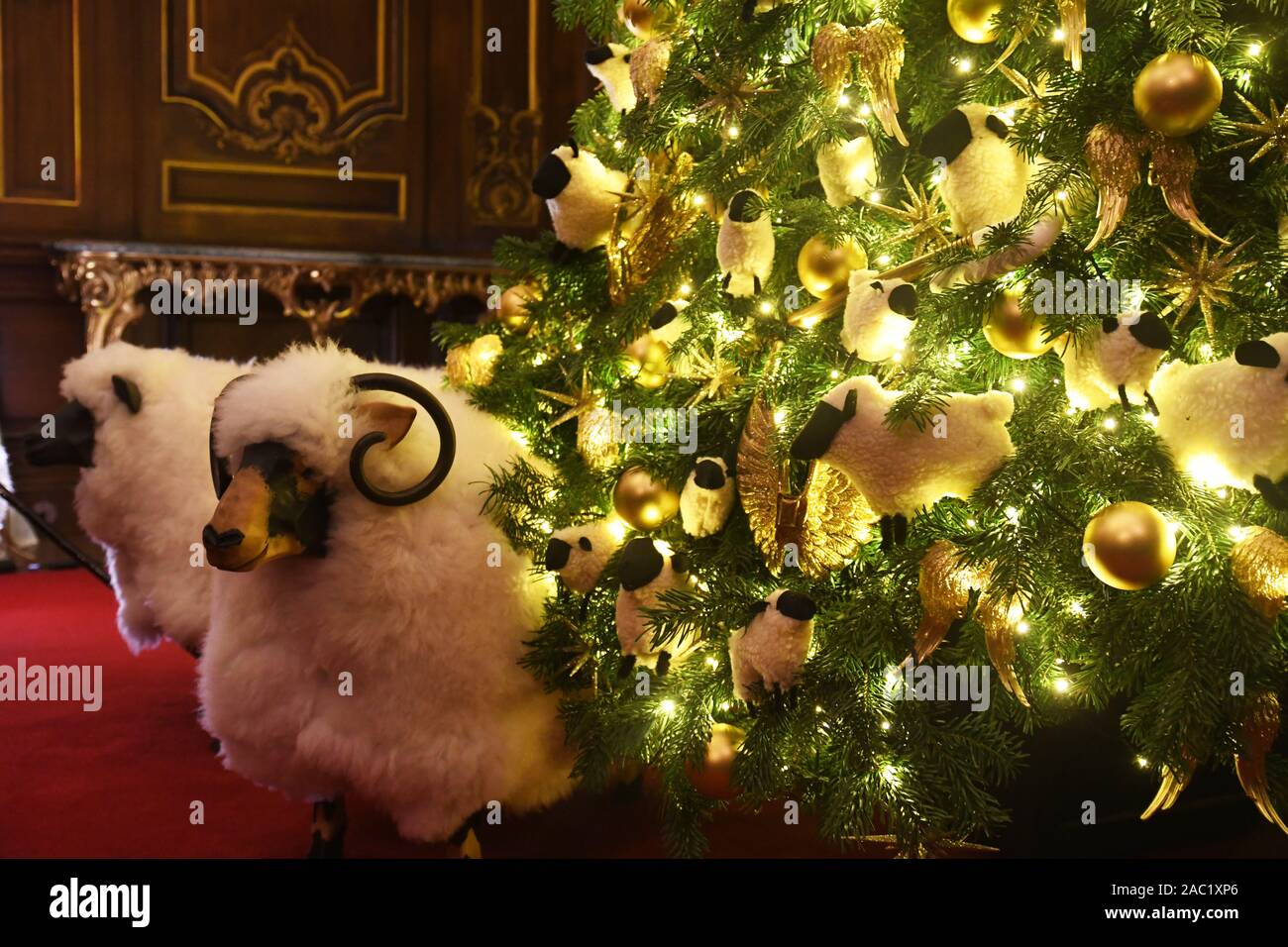 While Shepherds Watch their Flock By Night. Sheep beside a Christmas ...