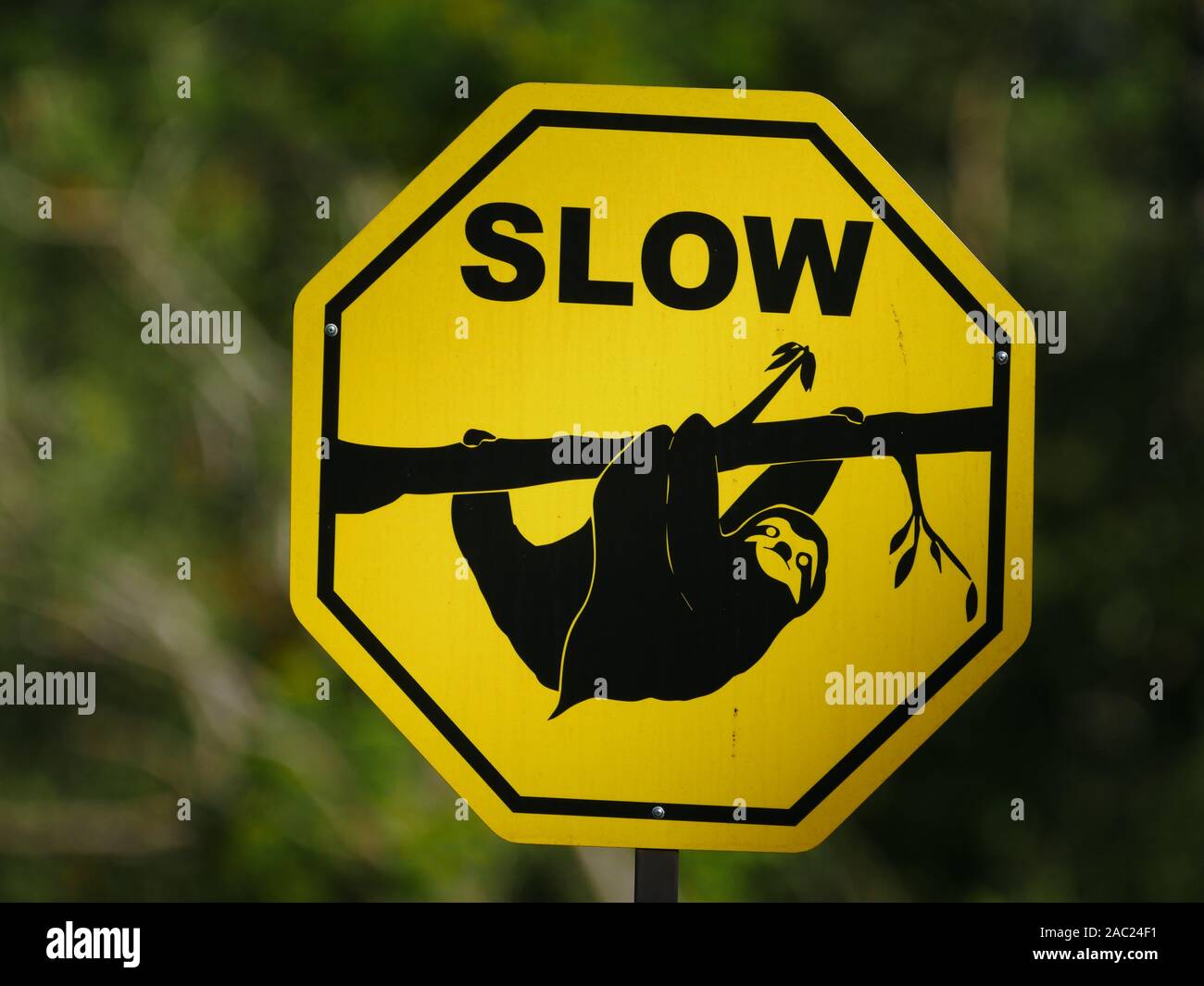 Costa rica wildlife sign hi-res stock photography and images - Alamy