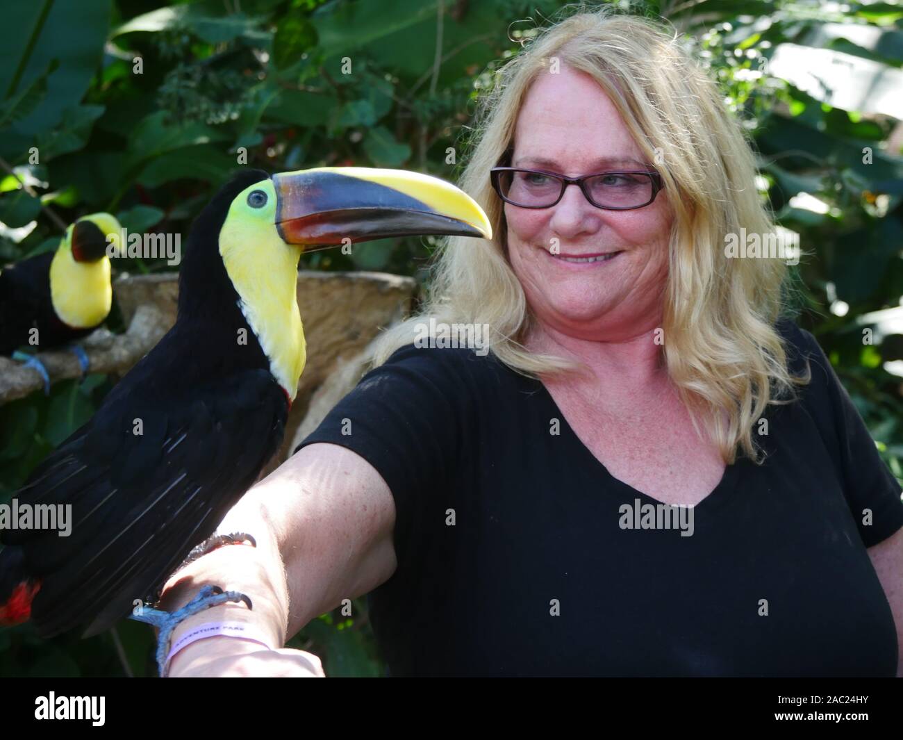 Toucan on tourist hi-res stock photography and images - Alamy