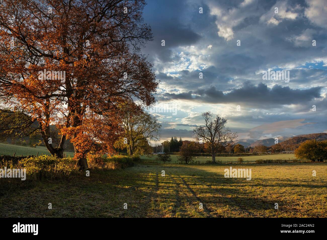 Beautiful Autumn Fall scenery landscape of countryside in Lake District ...
