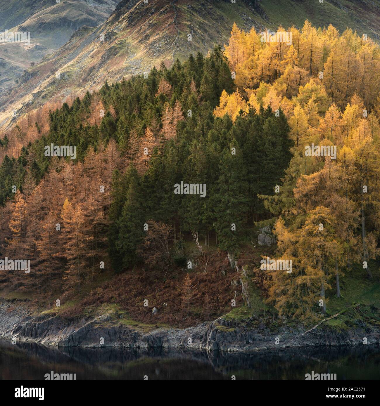 Brantree hi-res stock photography and images - Alamy