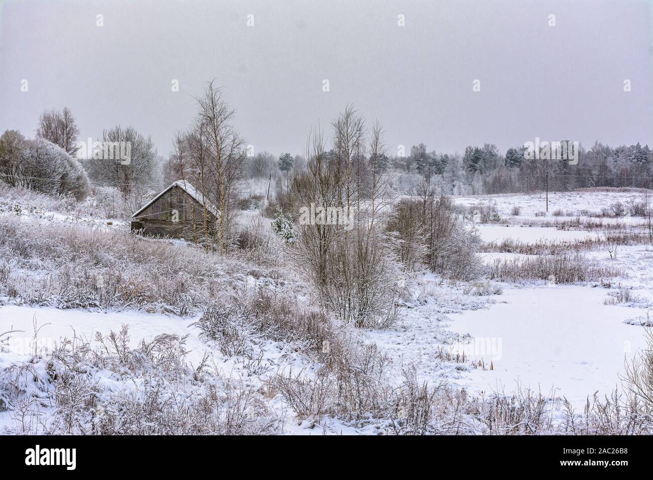 Snowy December day in the countryside Stock Photo - Alamy