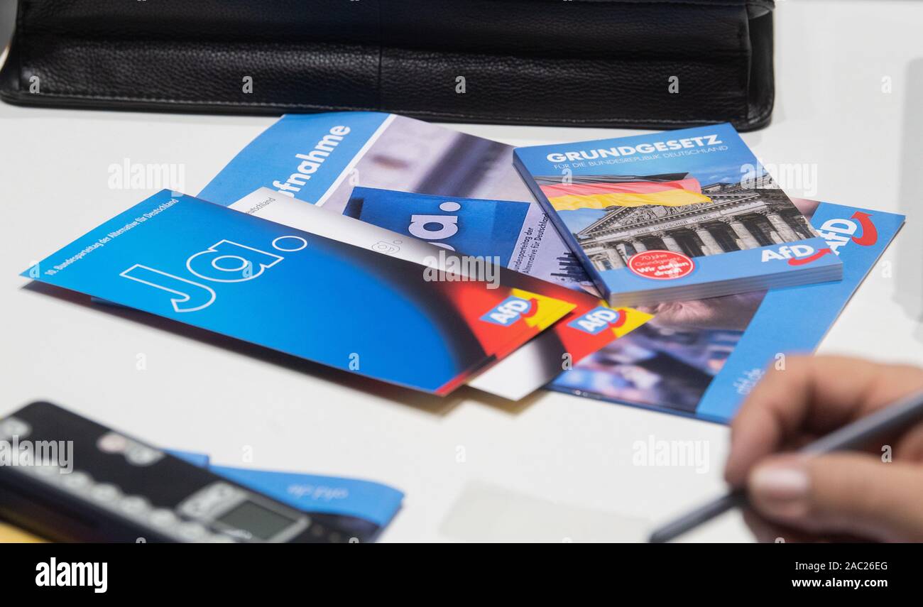 Brunswick, Germany. 30th Nov, 2019. Documents and a voting card will be ...