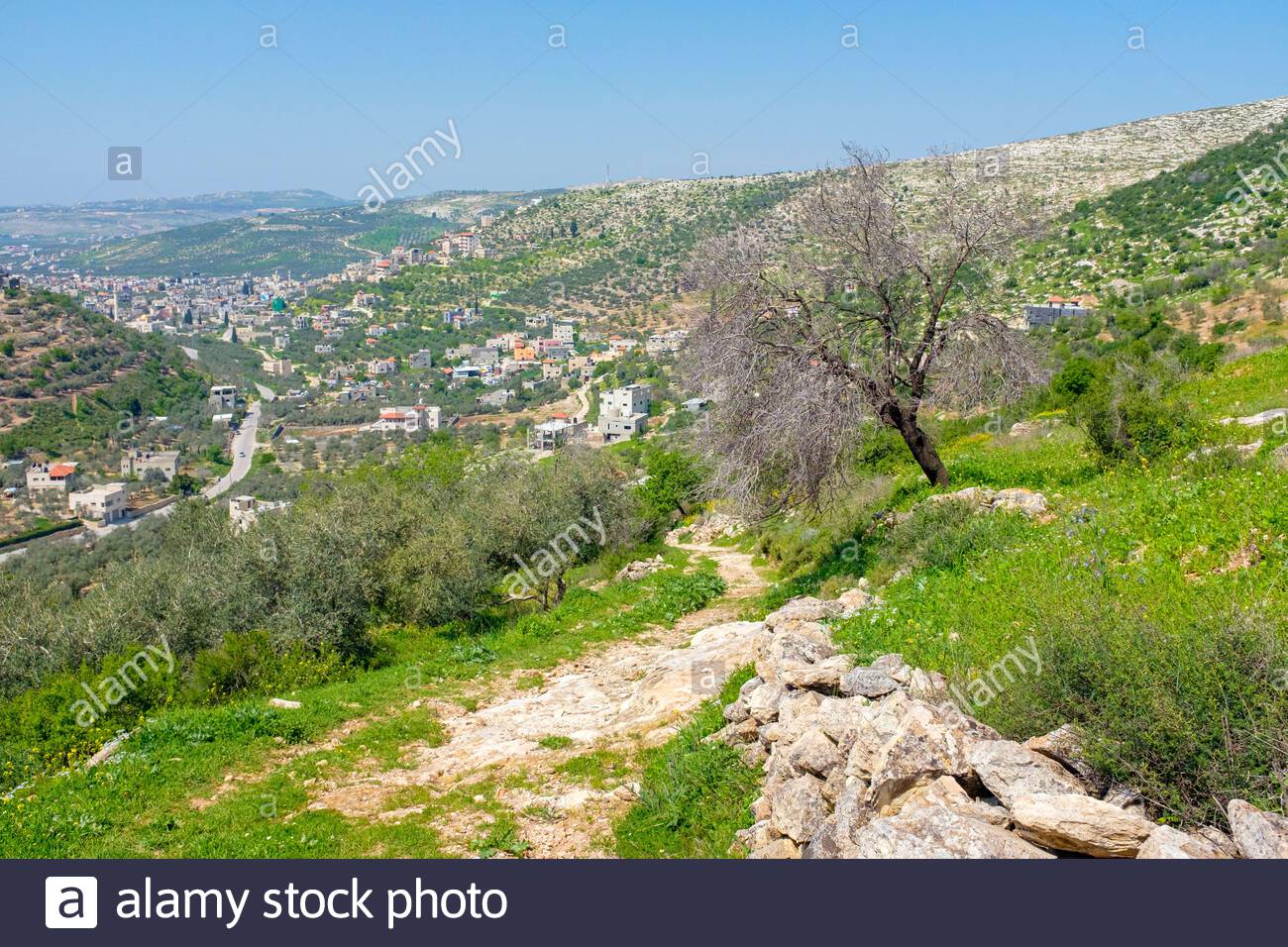 Jaba High Resolution Stock Photography and Images - Alamy