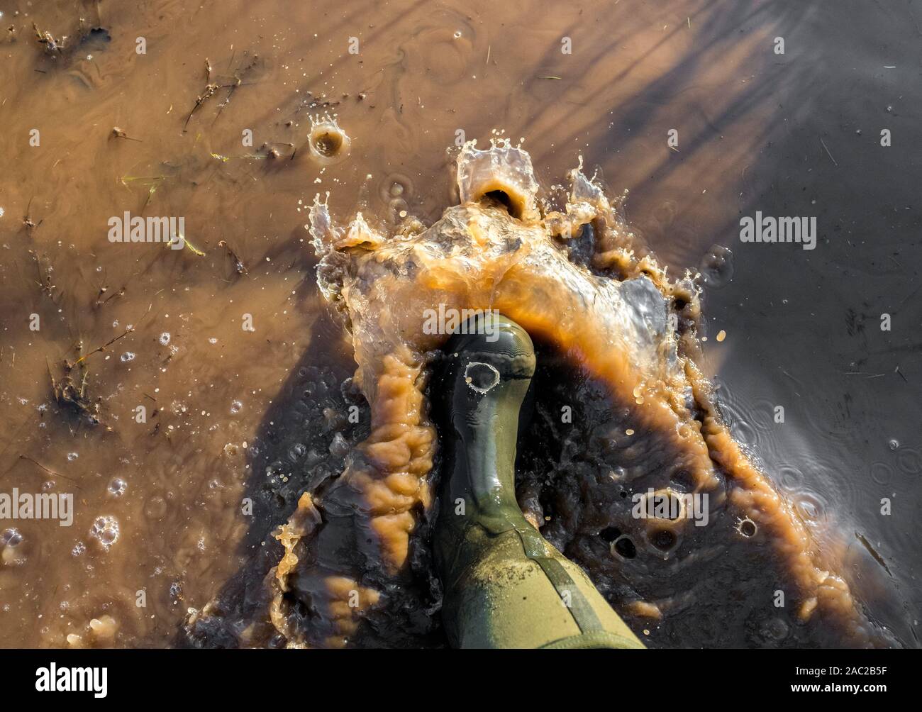 Wellington boot hi-res stock photography and images - Alamy