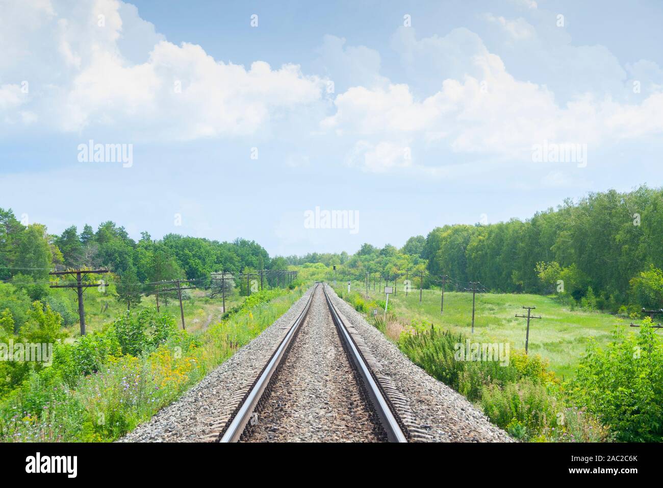 A railway through the summer green fields. Beautiful green railway tree ...