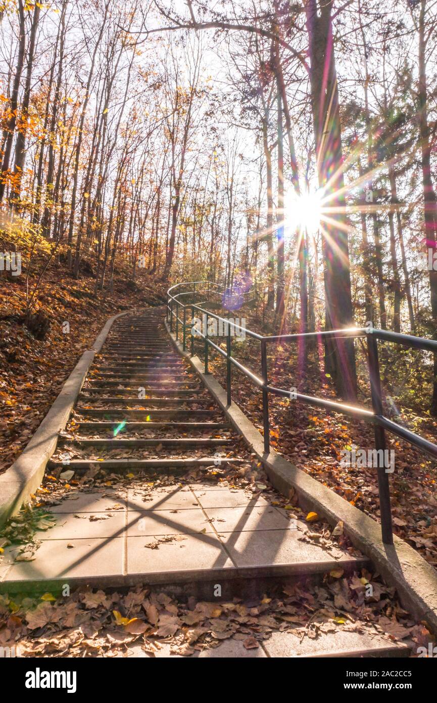 Path in natural park with autumn trees. Sunny autumn picturesque forest ...