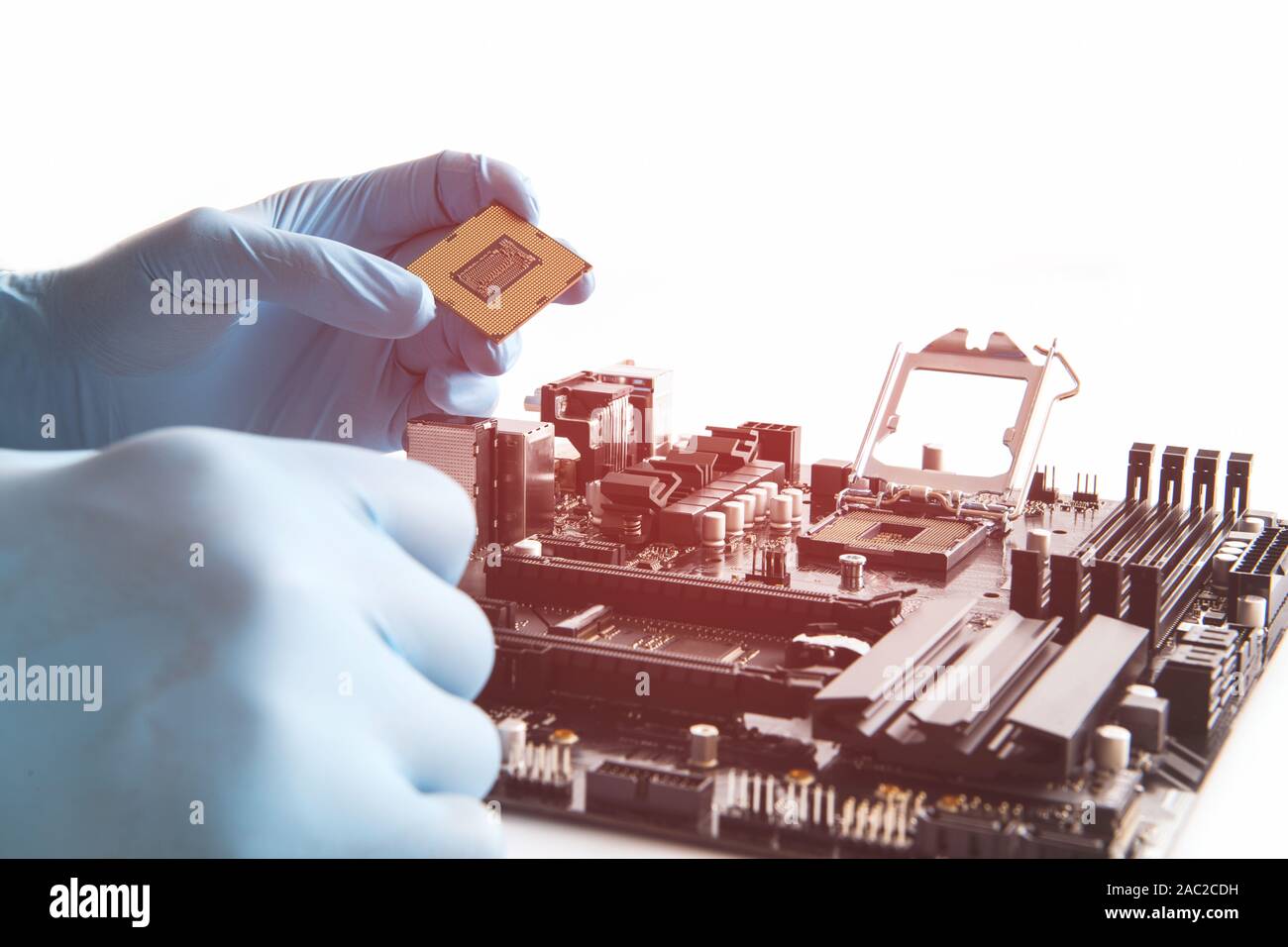 Computer technician wearing blue gloves installing CPU into motherboard ...