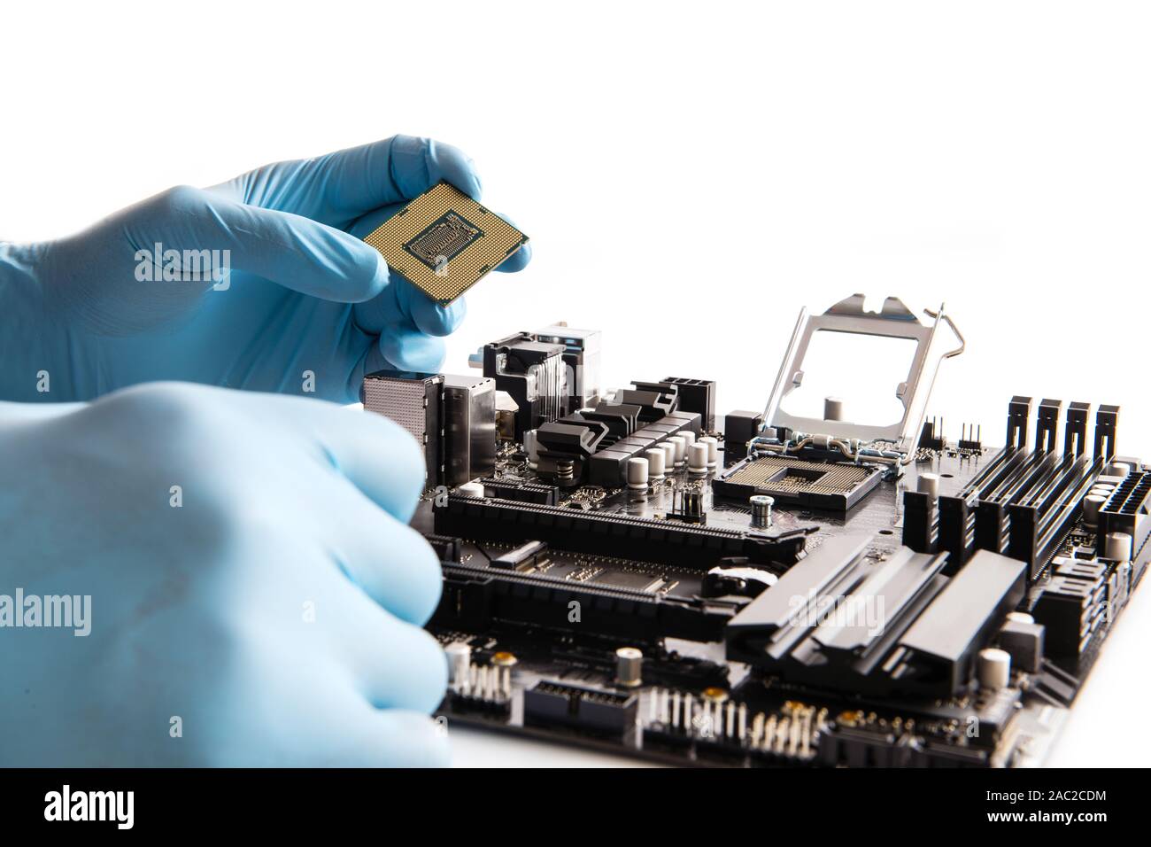 Computer technician wearing blue gloves installing CPU into motherboard ...