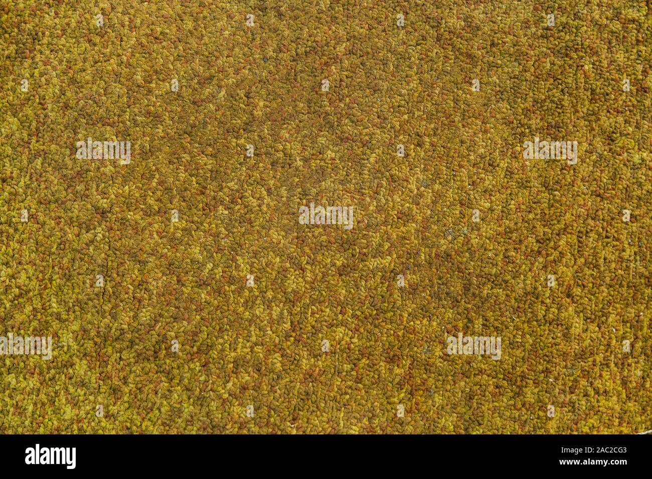 Old dirty and scratched brown cotton carpet background texture. Carpet ...