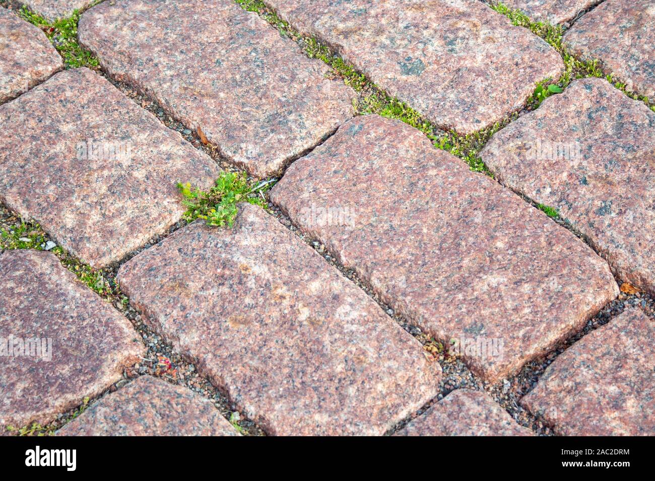 Old aged granite paving stones. Texture of old granite paving stones ...
