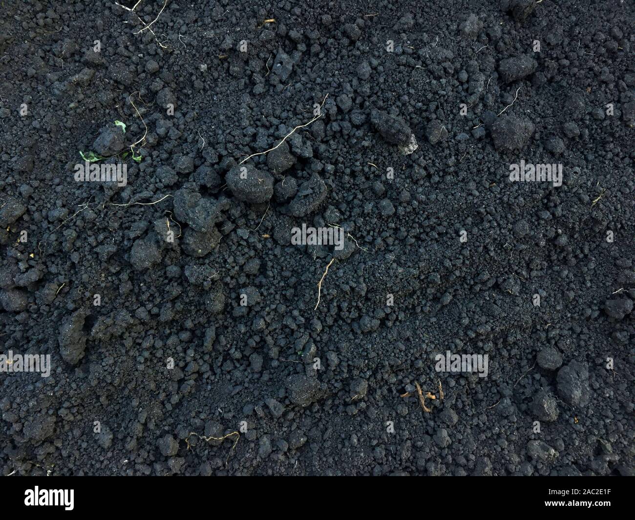 texture ground. The structure of the soil close up. Dig the earth ...