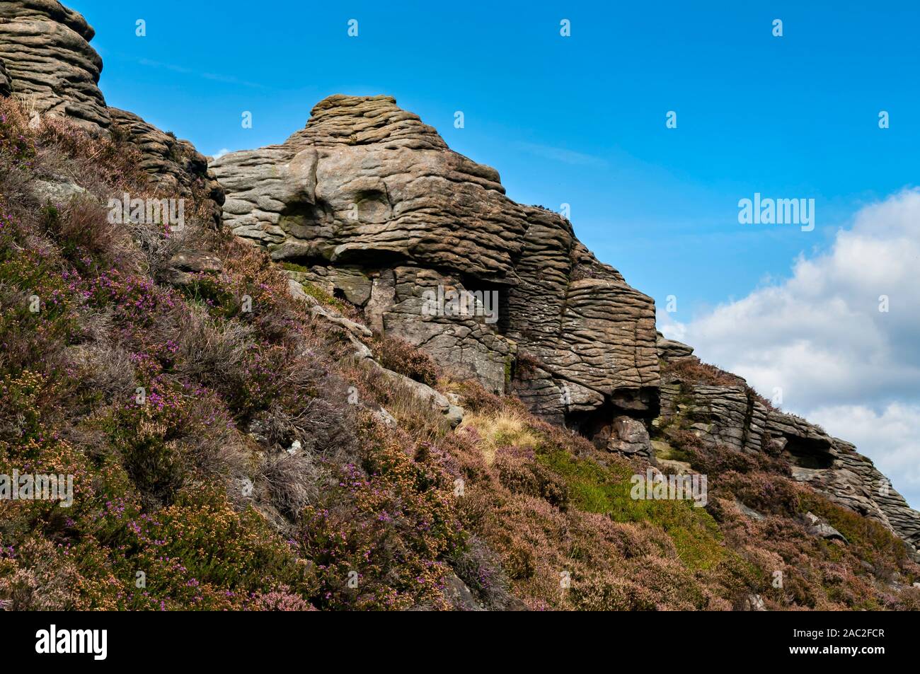 Weathered gritstone boulders at Ringing Roger, Kinder Scout Stock Photo ...