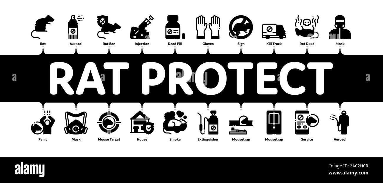 Rat Protect Minimal Infographic Banner Vector Stock Vector Image & Art ...