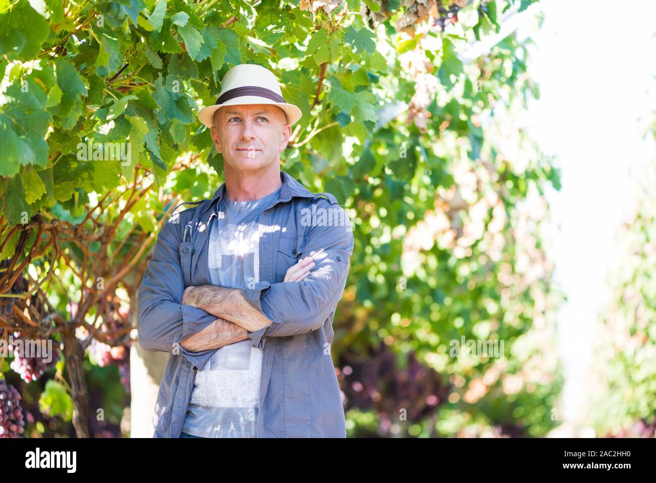 Vintner Winemaker High Resolution Stock Photography and Images - Alamy