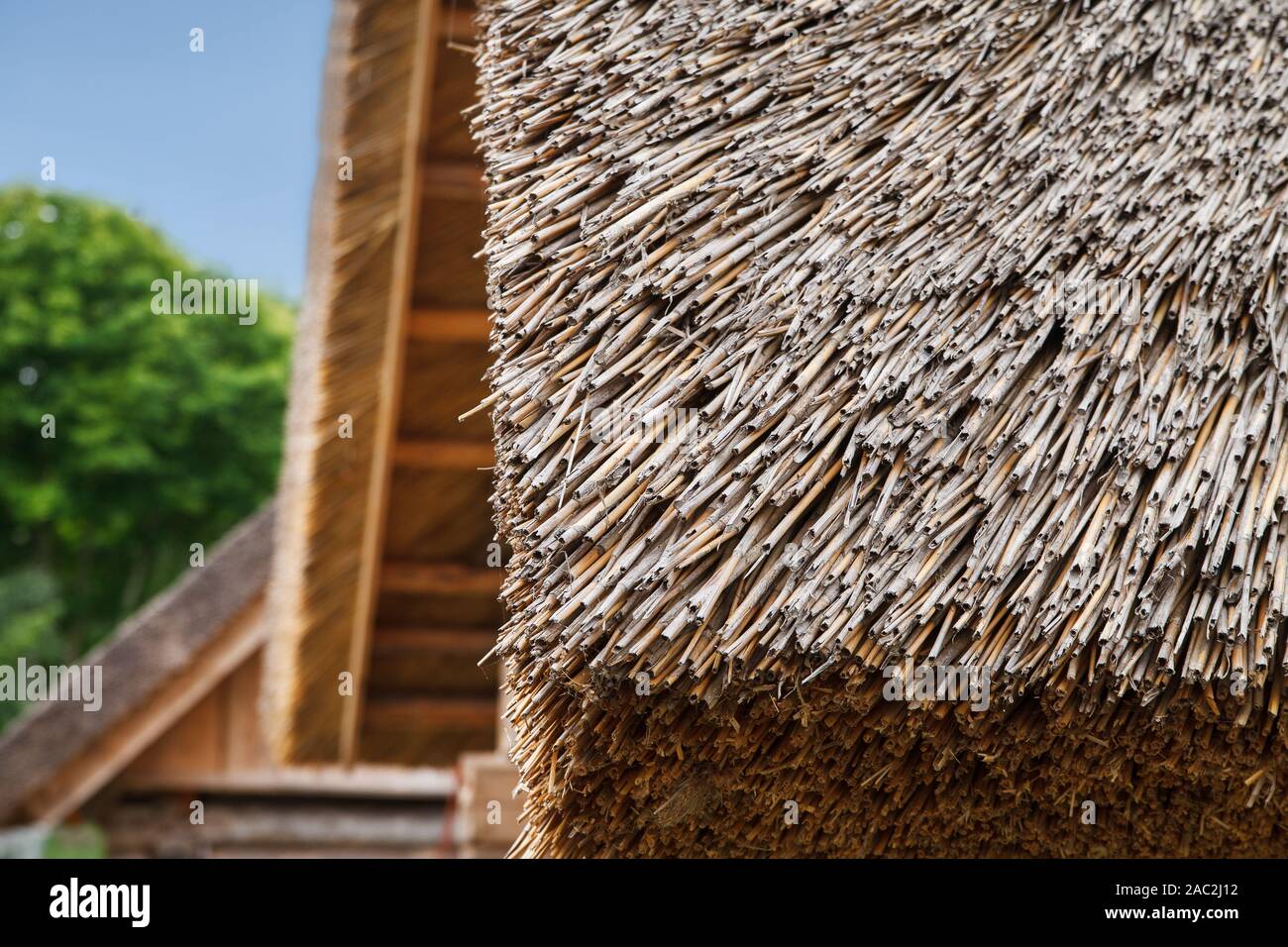 Small wooden cottage with straw roof Stock Photo - Alamy