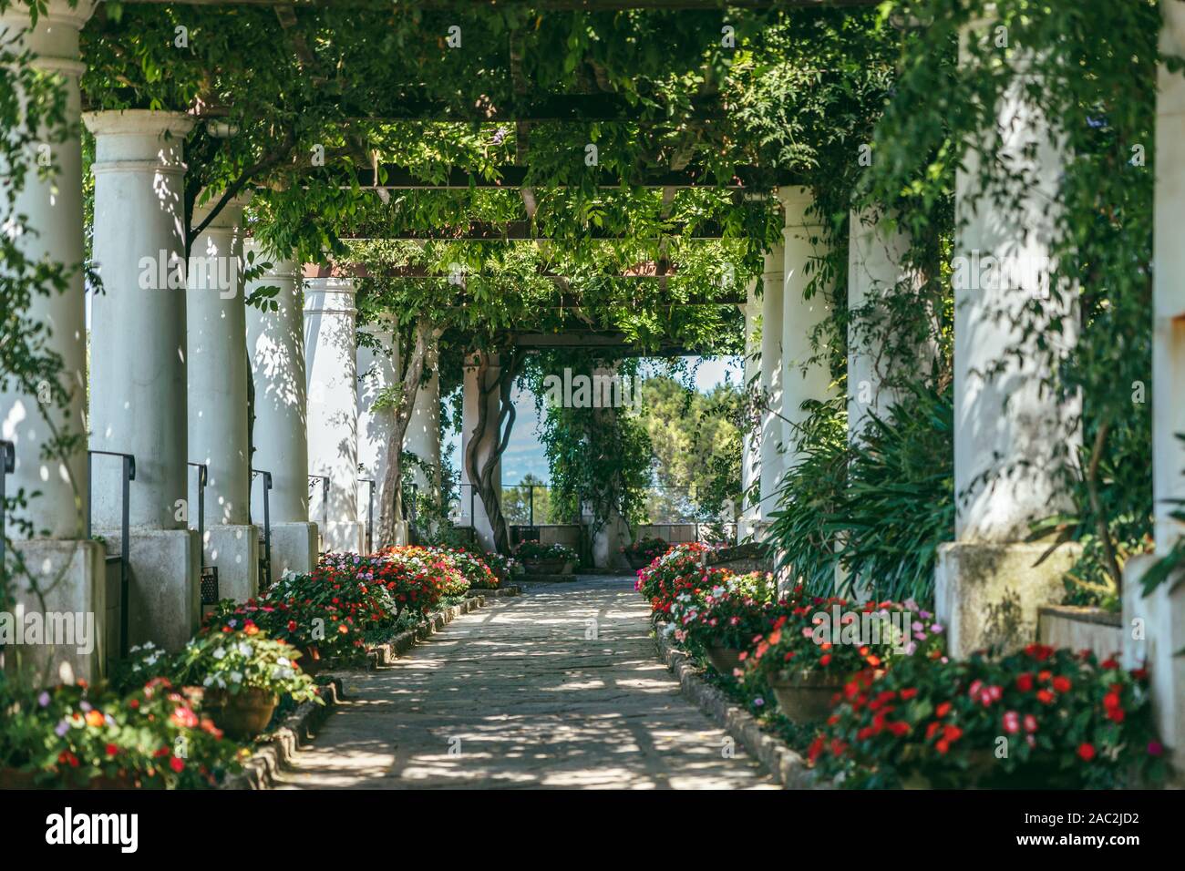 Floral Columns