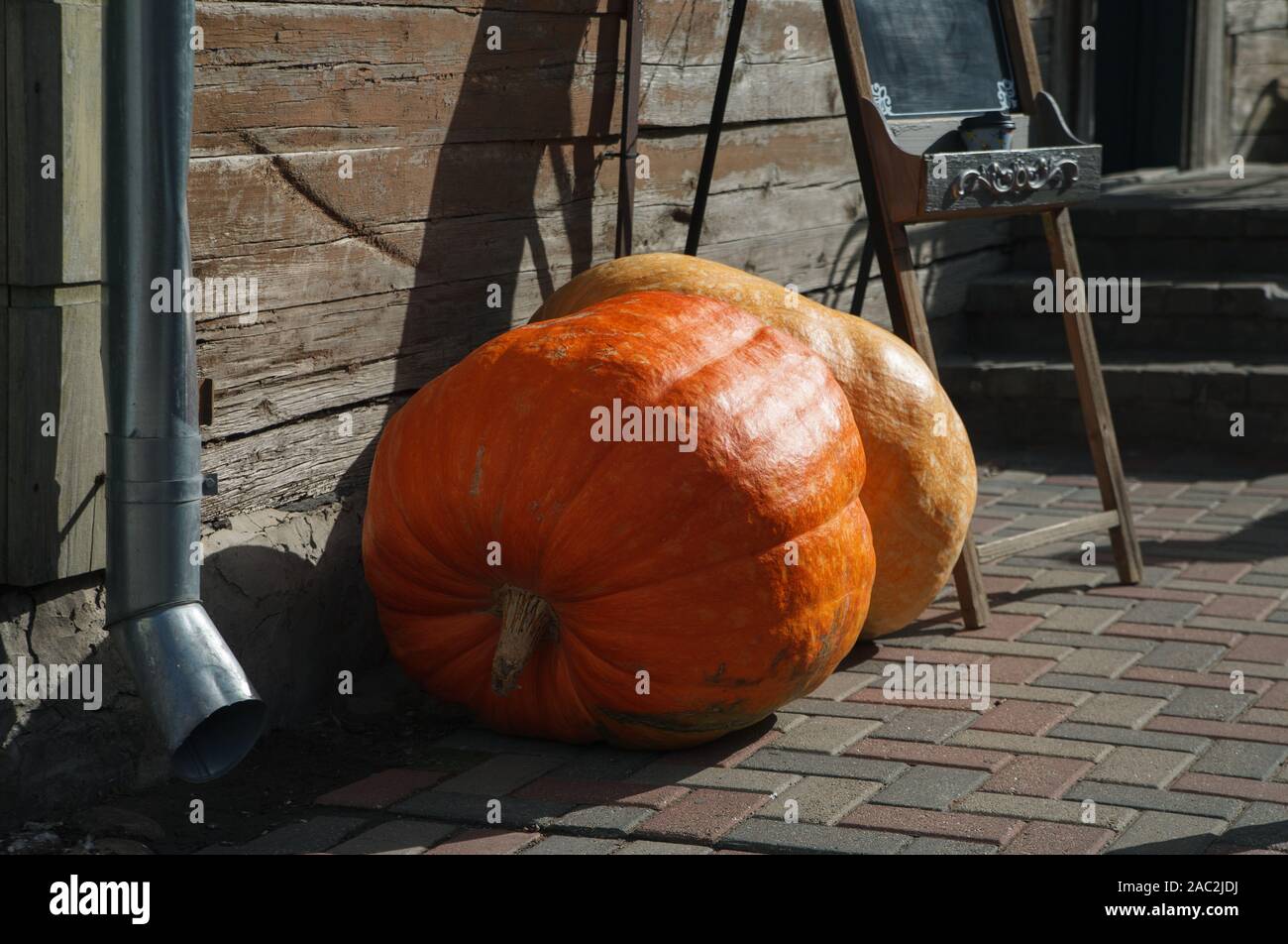 Pumpkins on a street in a old town Stock Photo - Alamy