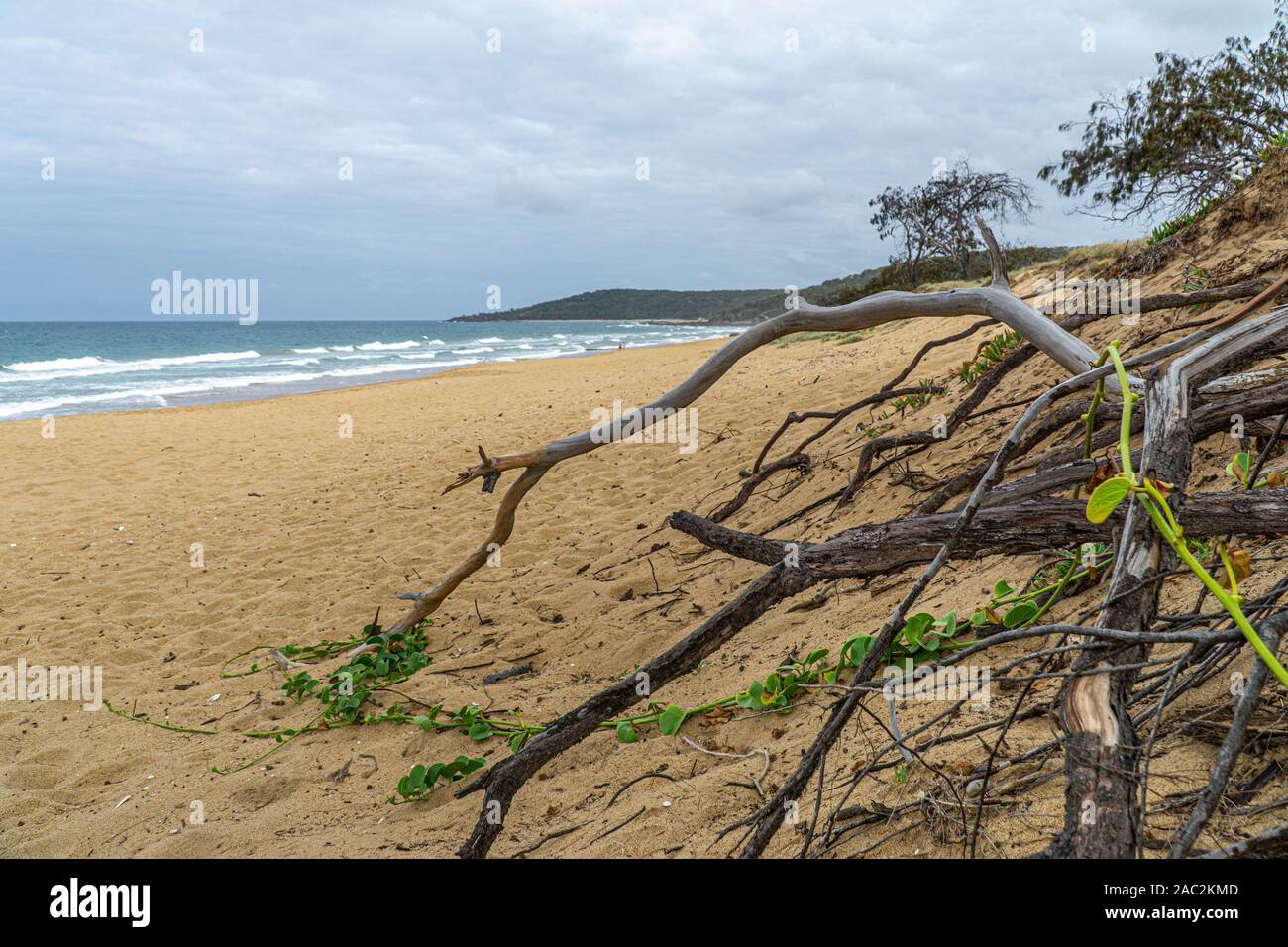 Beautiful beach agnes water hi-res stock photography and images - Alamy