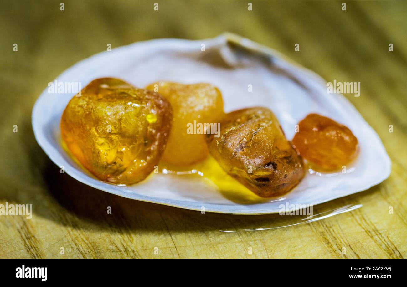 Pieces of bright wet yellow amber on a natural shell background Stock ...