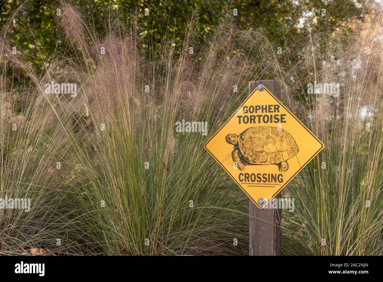 Turtle crossing sign hi-res stock photography and images - Alamy