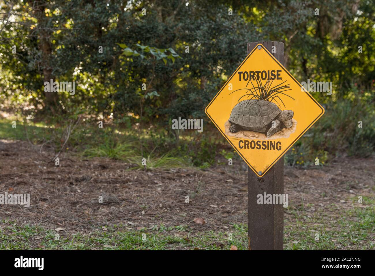 Turtle crossing sign hi-res stock photography and images - Alamy