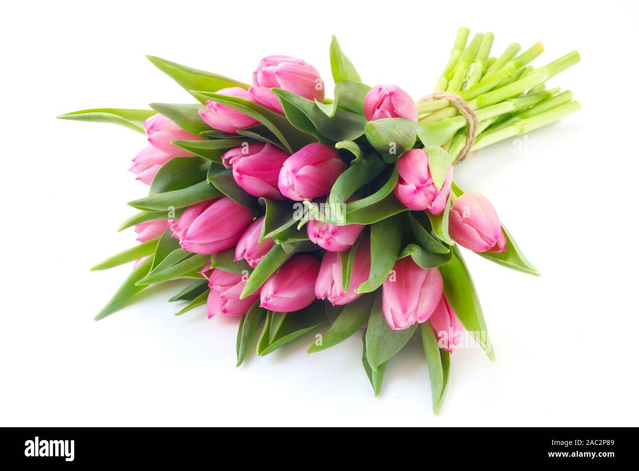 A Bunch Of Pink Tulips Isolated On White Stock Photo - Alamy