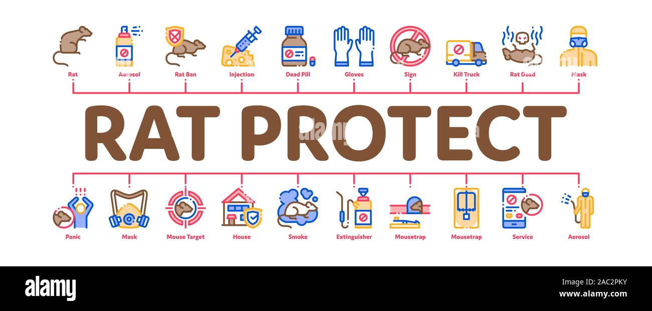 Rat Protect Minimal Infographic Banner Vector Stock Vector Image & Art ...