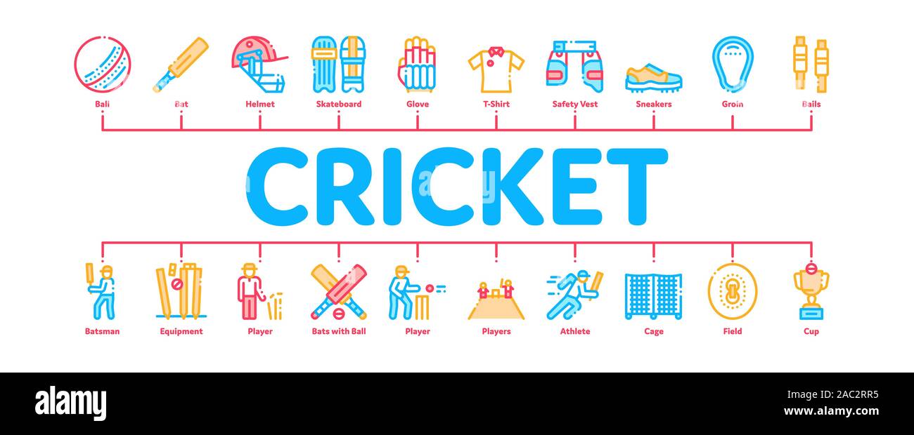 Cricket Game Minimal Infographic Banner Vector Stock Vector Image & Art ...