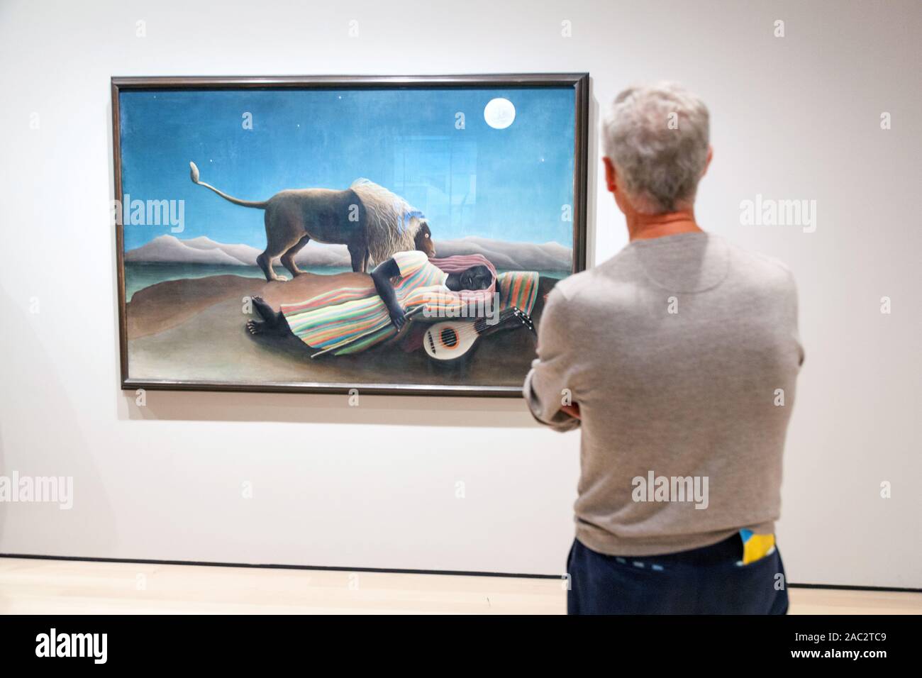 The Sleeping Gypsy, 1897, painting by Henri Rousseau, MOMA, Museum of ...