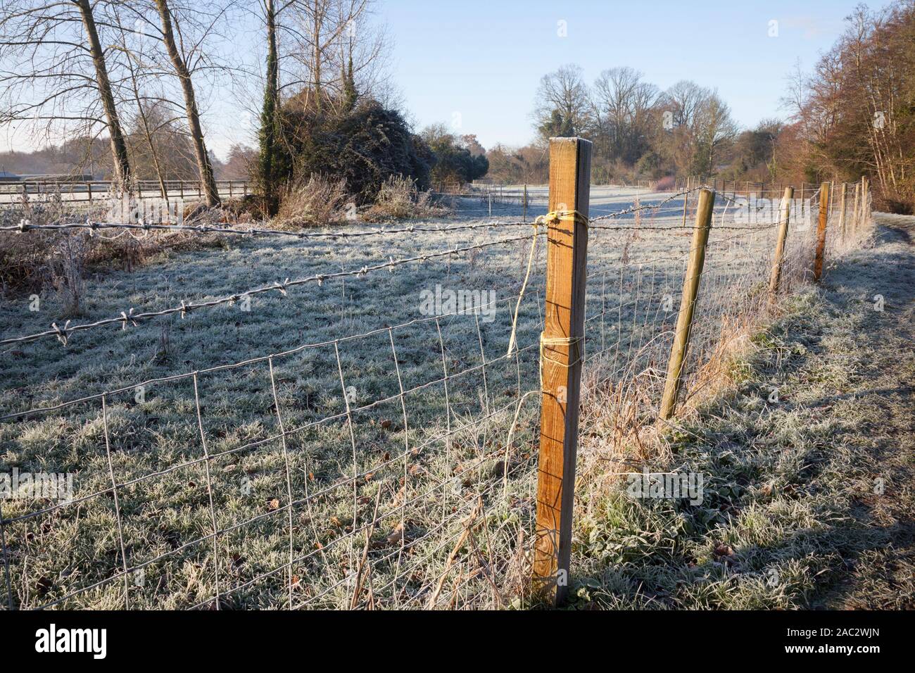 Paddock picket fencing hi-res stock photography and images - Alamy