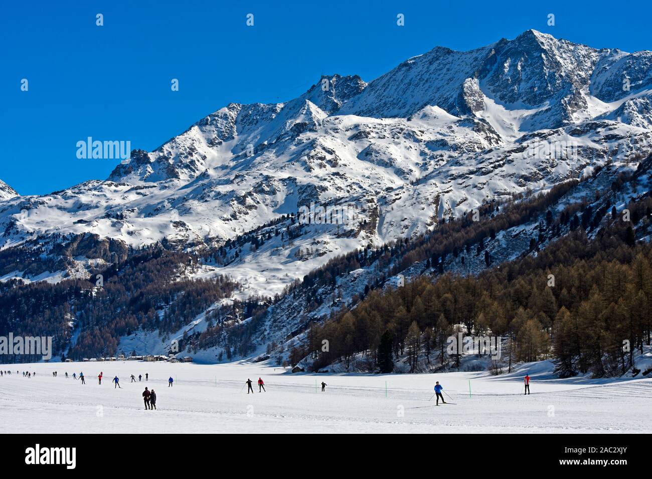 Cross-country trails on the frozen Lake Sils, cross-country center ...