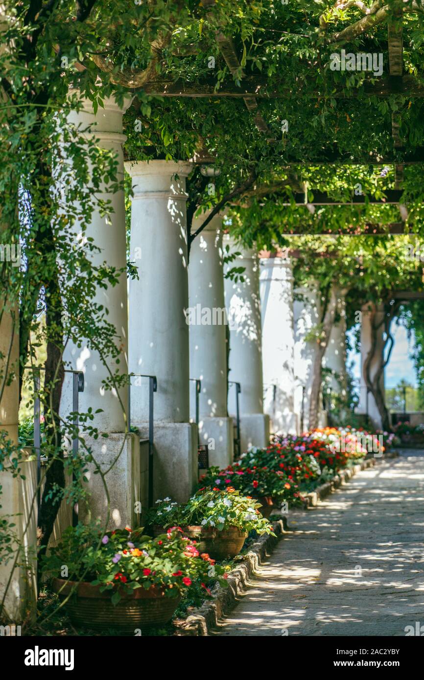 white columns with plants overhead in garden in Anacapri, capri island ...