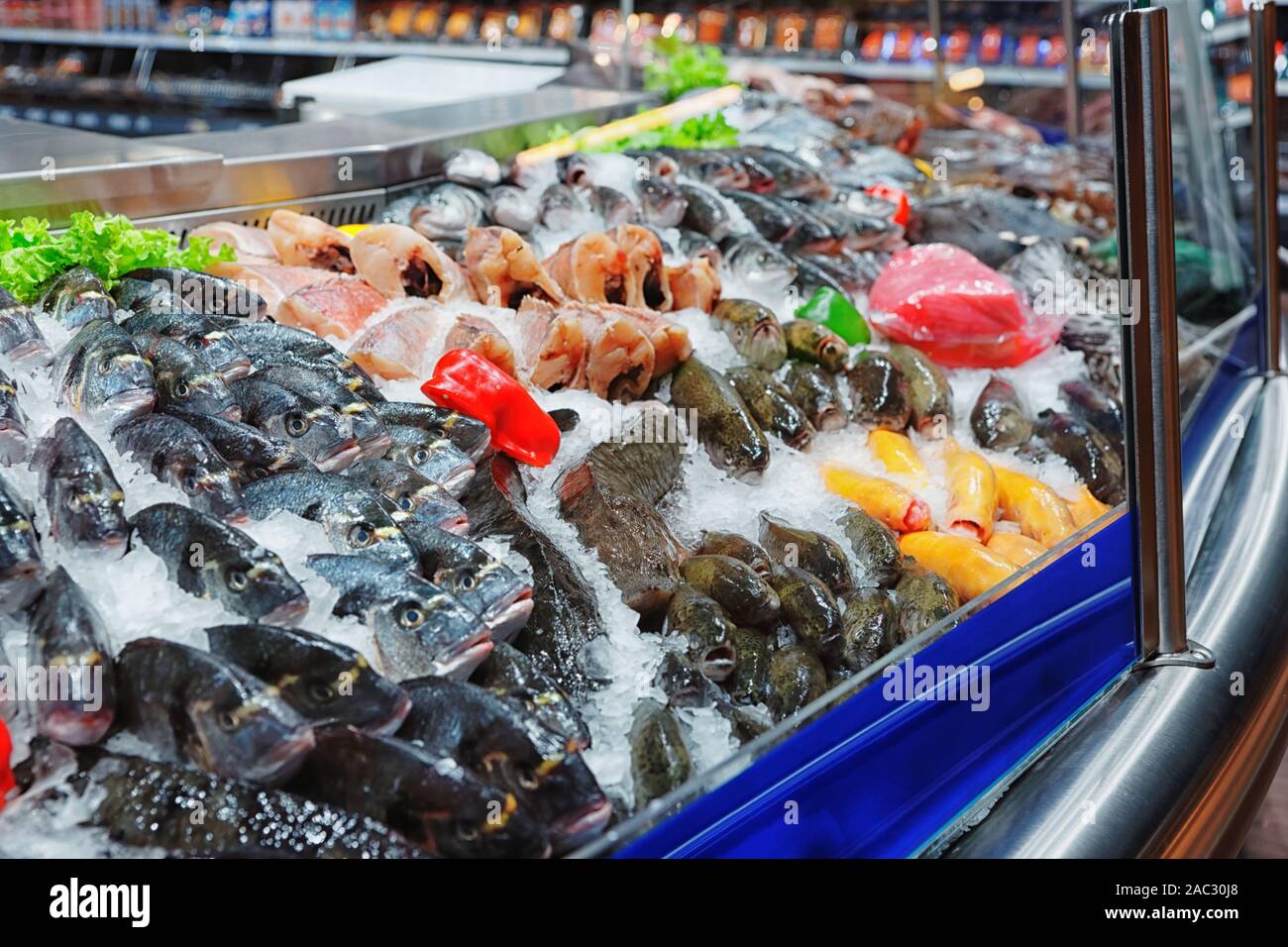 Great variety of fish and seafood on iced supermarket stall, toned ...