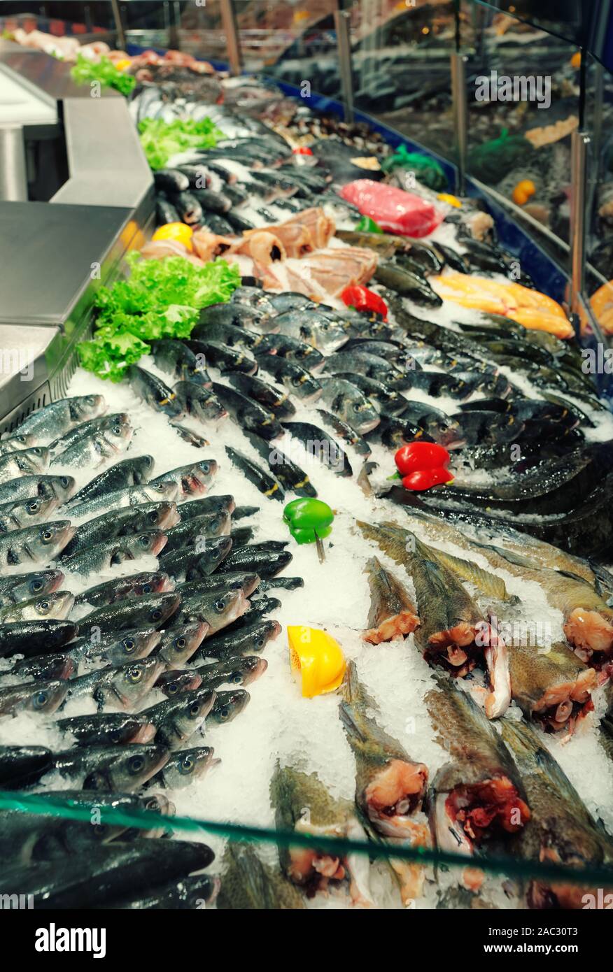 Great variety of fish and seafood on iced supermarket stall, toned ...