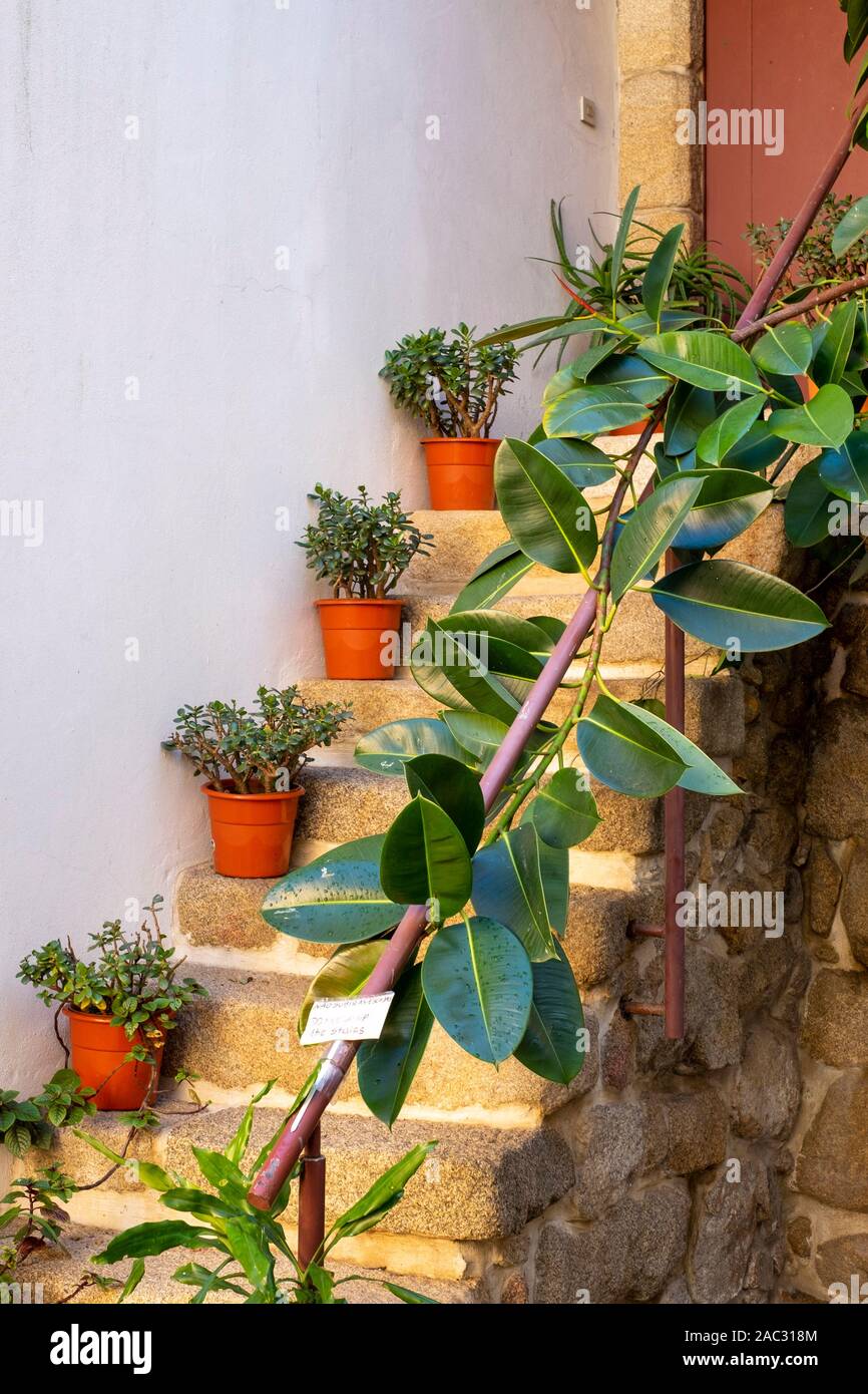 Porto Steps High Resolution Stock Photography and Images - Alamy