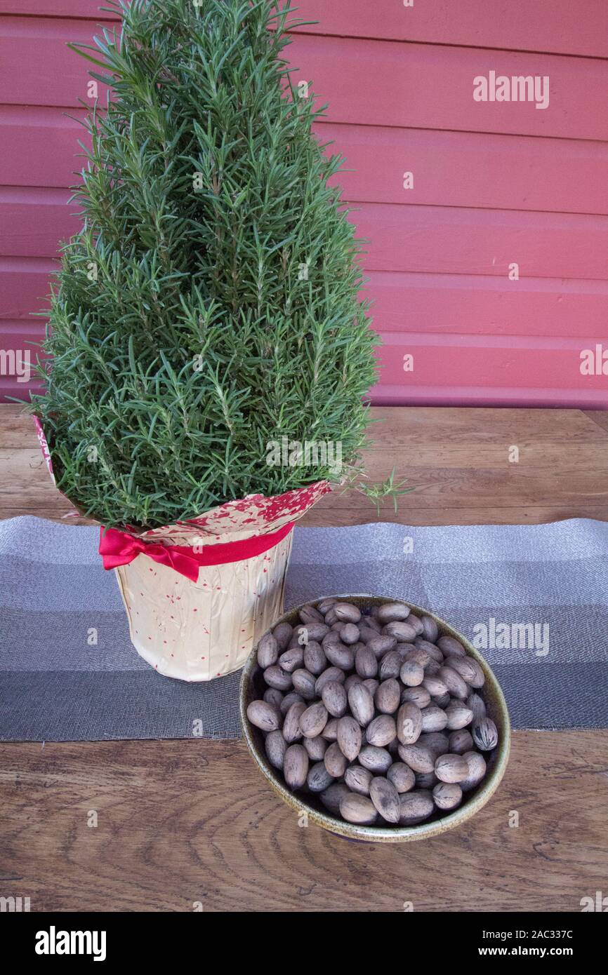 Bowl of Pecans and Holiday Tree Stock Photo - Alamy
