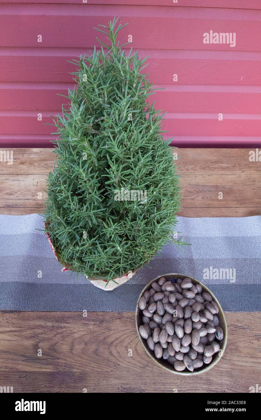 Bowl of Pecans and Holiday Tree Stock Photo - Alamy