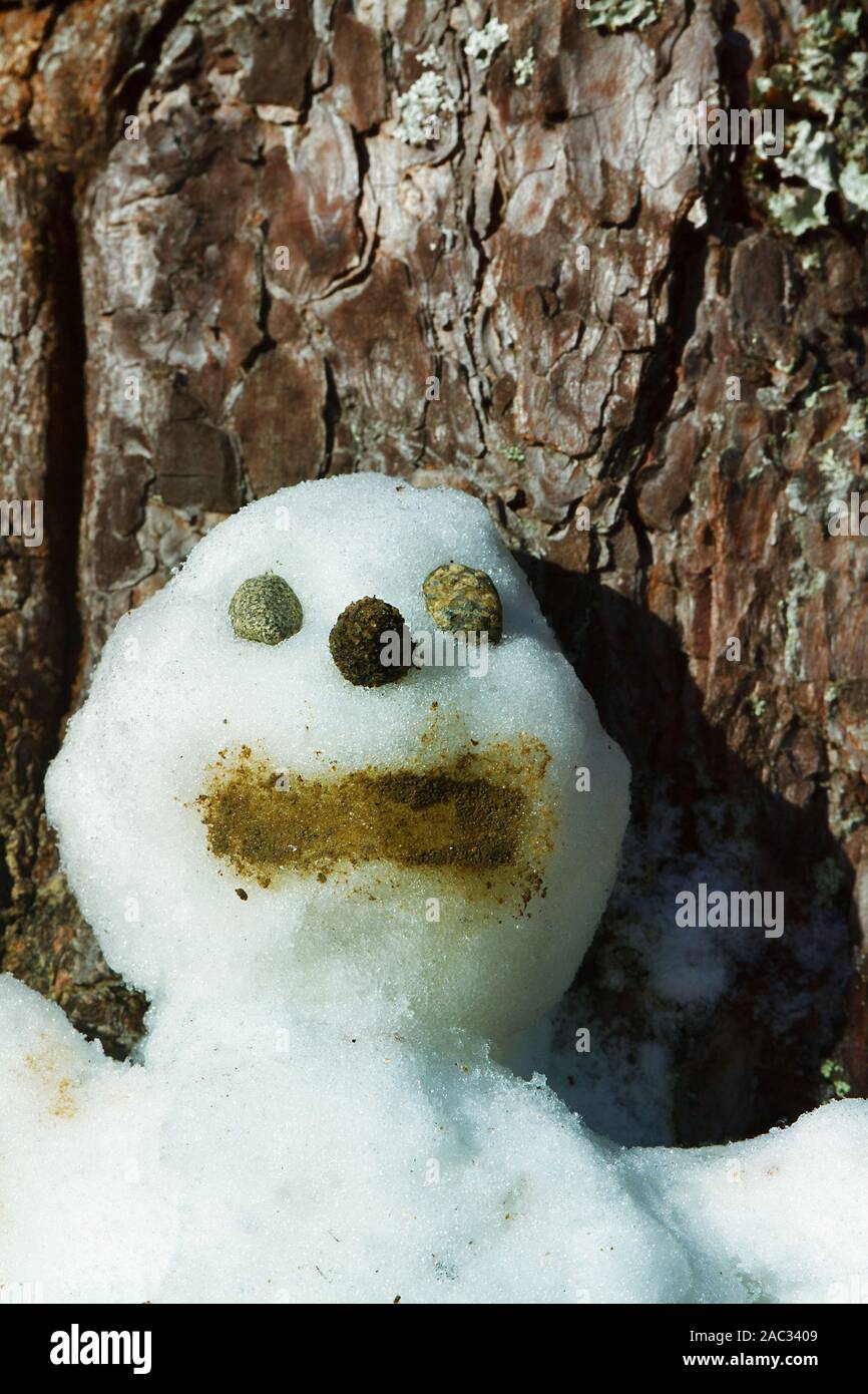 Snowman figurine on a tree trunk. Characters from the winter Christmas ...