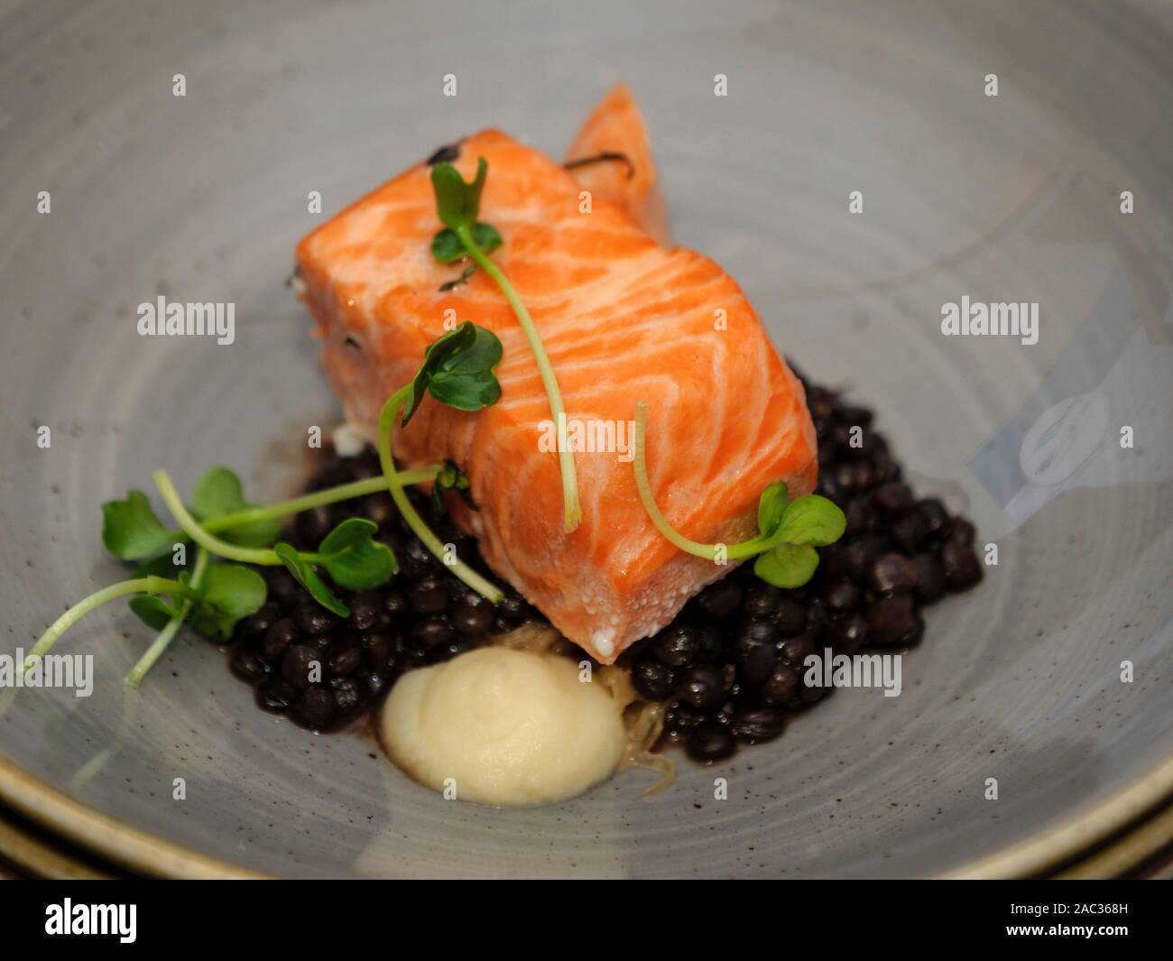 Fish Snack at opening Hotel Courtyard by Marriott Hamburg City ...