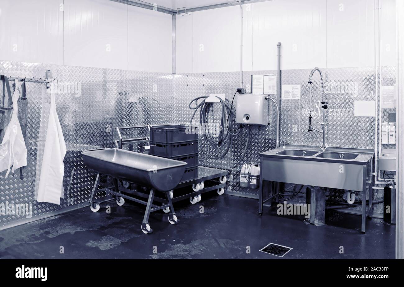 Modern dishwashing room at food processing plant, toned image Stock ...