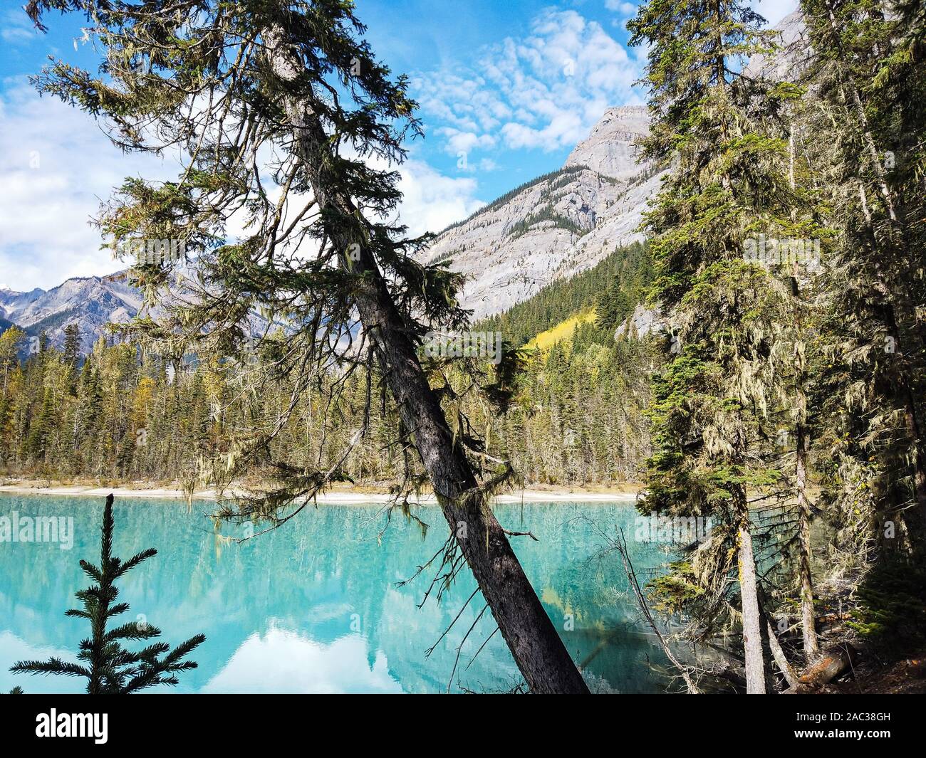 Autumn in Mount Robson Provincial Park, Canada Stock Photo - Alamy