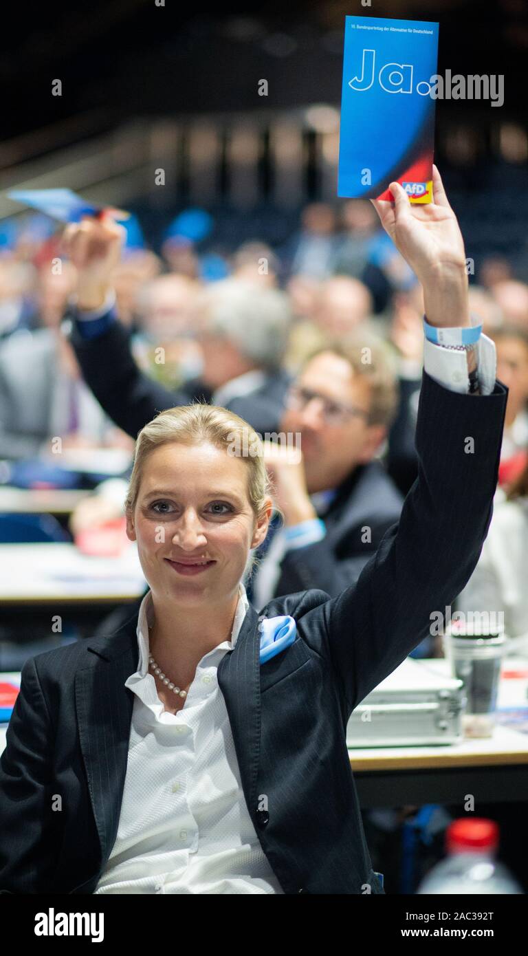 Brunswick, Germany. 30th Nov, 2019. Alice Weidel, leader of the AfD ...