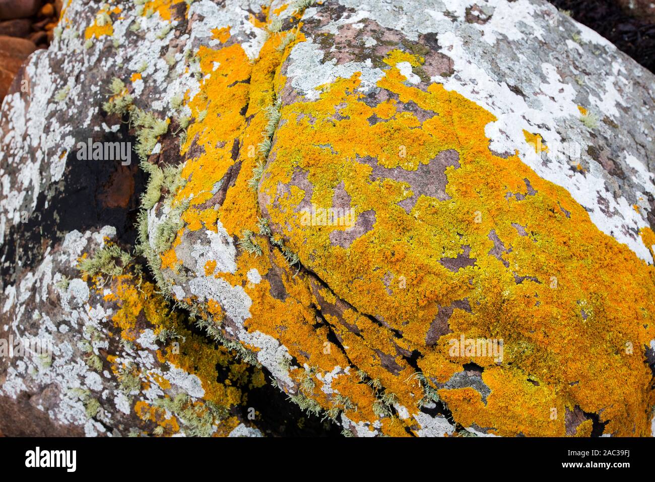 Lichen covered rocks on the coast at Redpoint, Scotland, UK Stock Photo ...