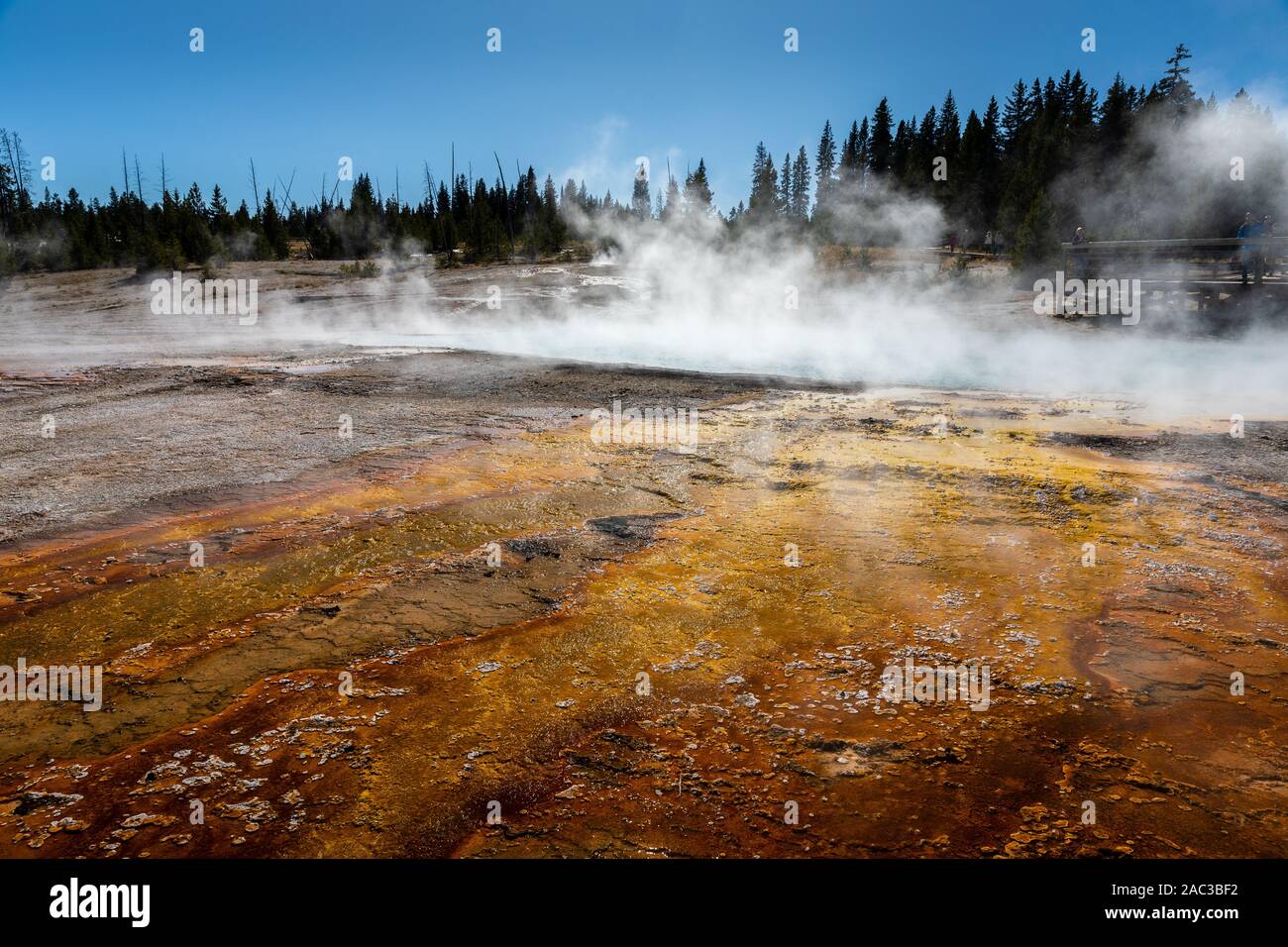 Boiling water from geothermal heat of geyser basin flowing around area ...
