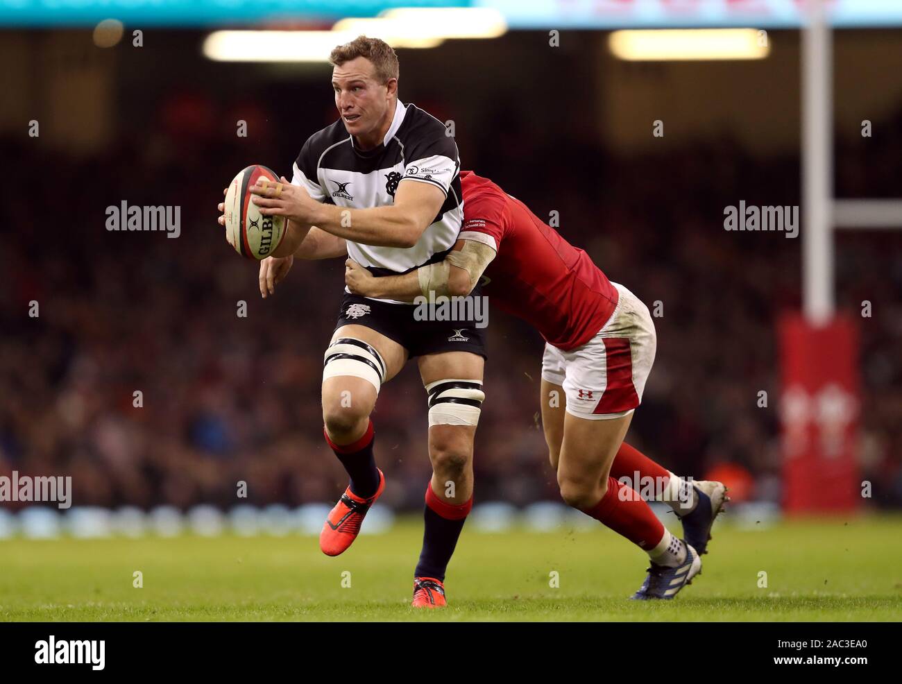 Angus cottrell hi-res stock photography and images - Alamy Angus cottrell hi-res stock photography and images - Alamy