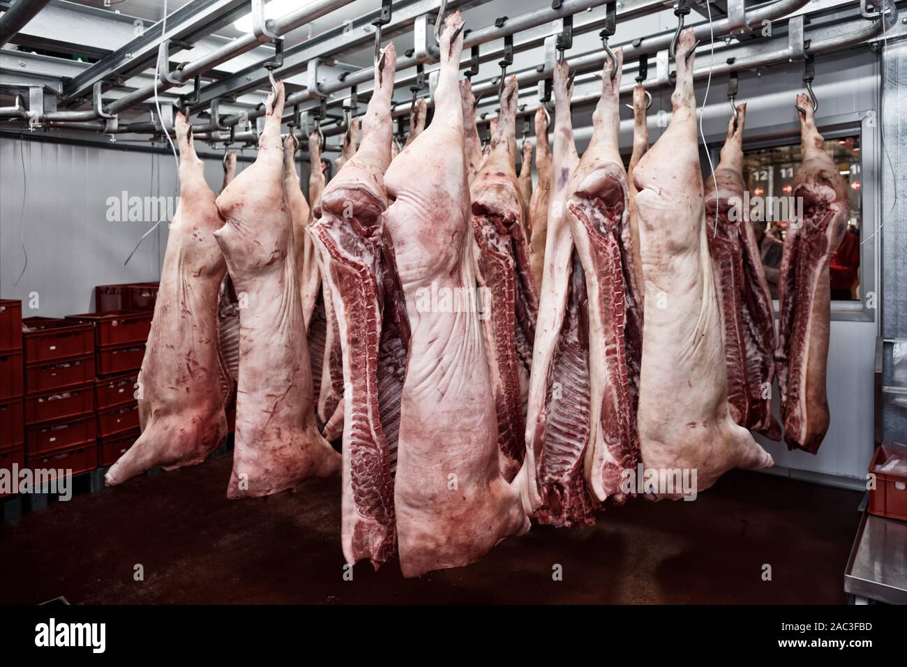 Meat in cold room in hi-res stock photography and images - Alamy